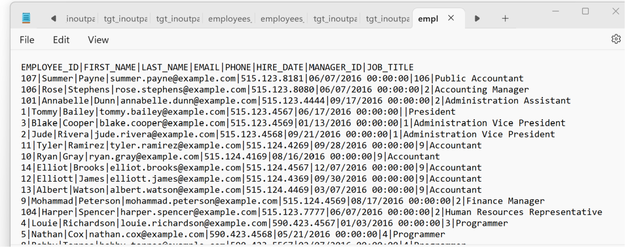 IN-OUT PARAMETER IN IICS - hireforceglobal